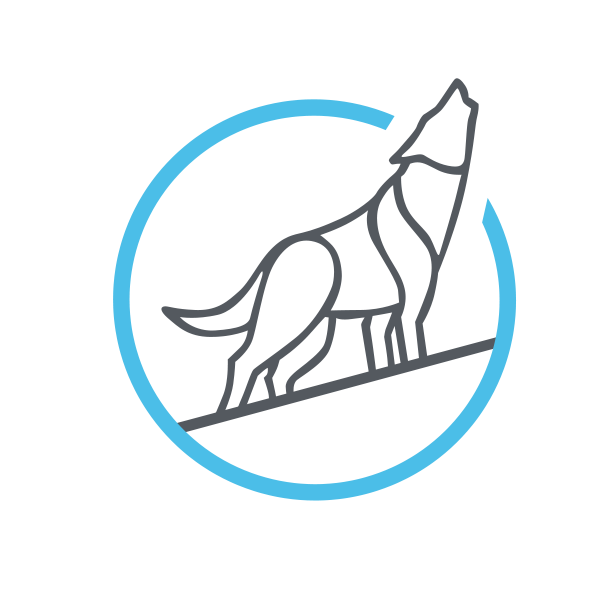 Human+AI Forex Trade Copier Service | Algo International Forex